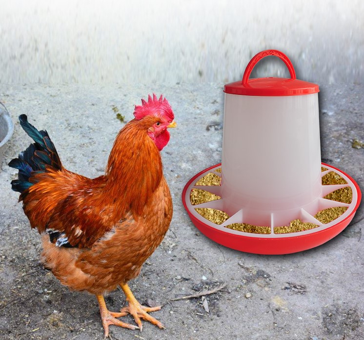 Comedero para Pollos de 1.5kg – jersimport